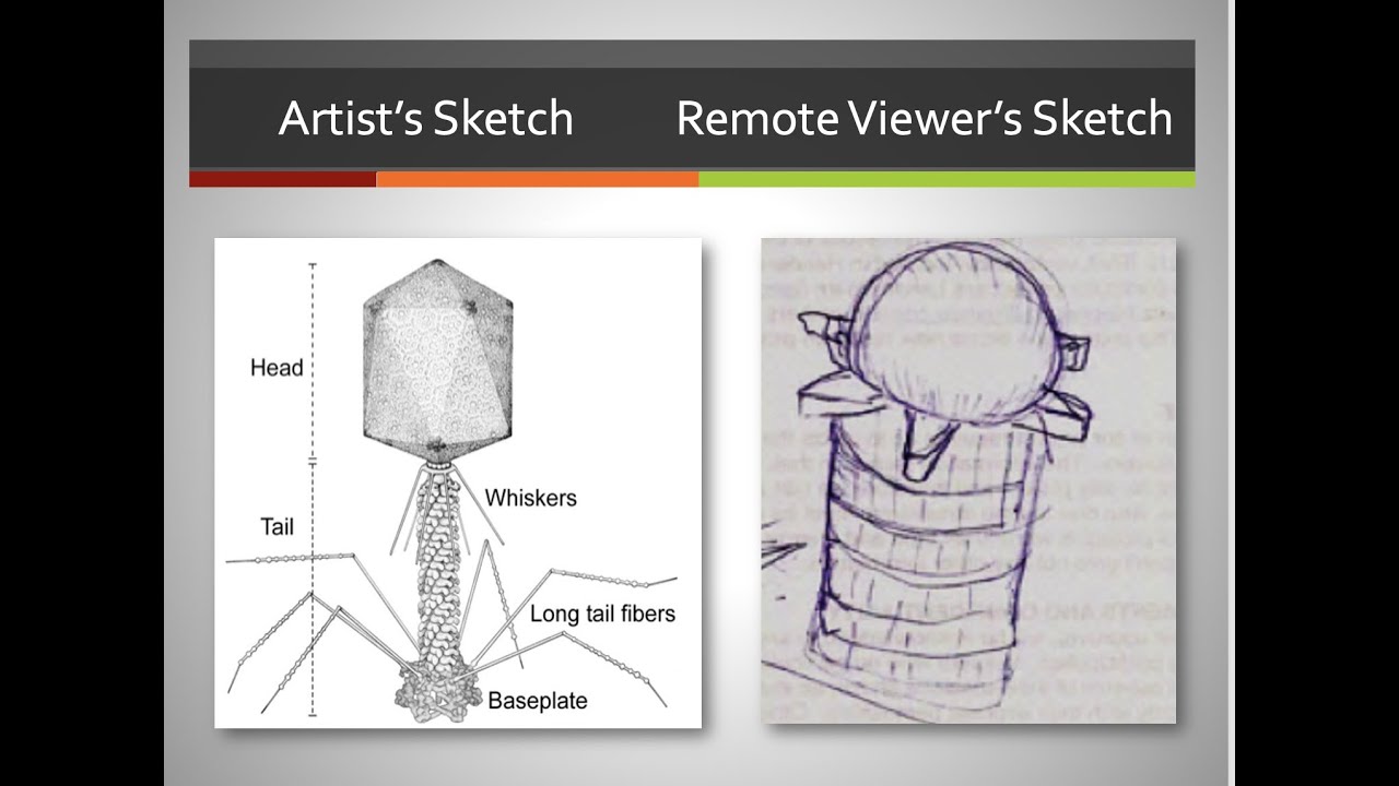 Remote Viewers describe a bacteriophage. Presented by Debra Lynne Katz ...