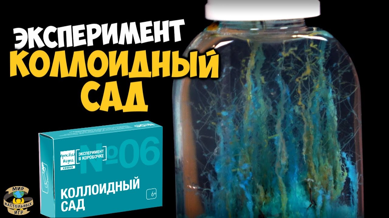 Коллоидный сад | Простая наука - эксперимент в коробке - YouTube