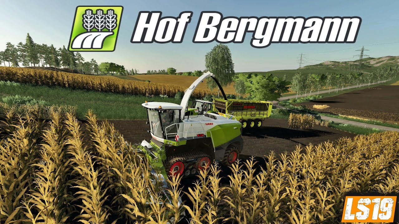 #🤘#Hof Bergmann#🤘 viel, Spaß 🚜🚜es ist soweit der Mais ist reif🚜🚜 - YouTube