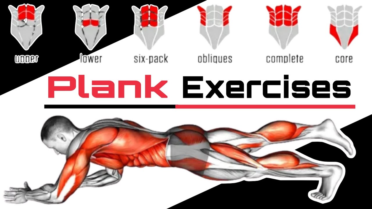 Do THESE 8 Plank Exercises to Get Six Packs | 6 pack abs: 8 best plank ...