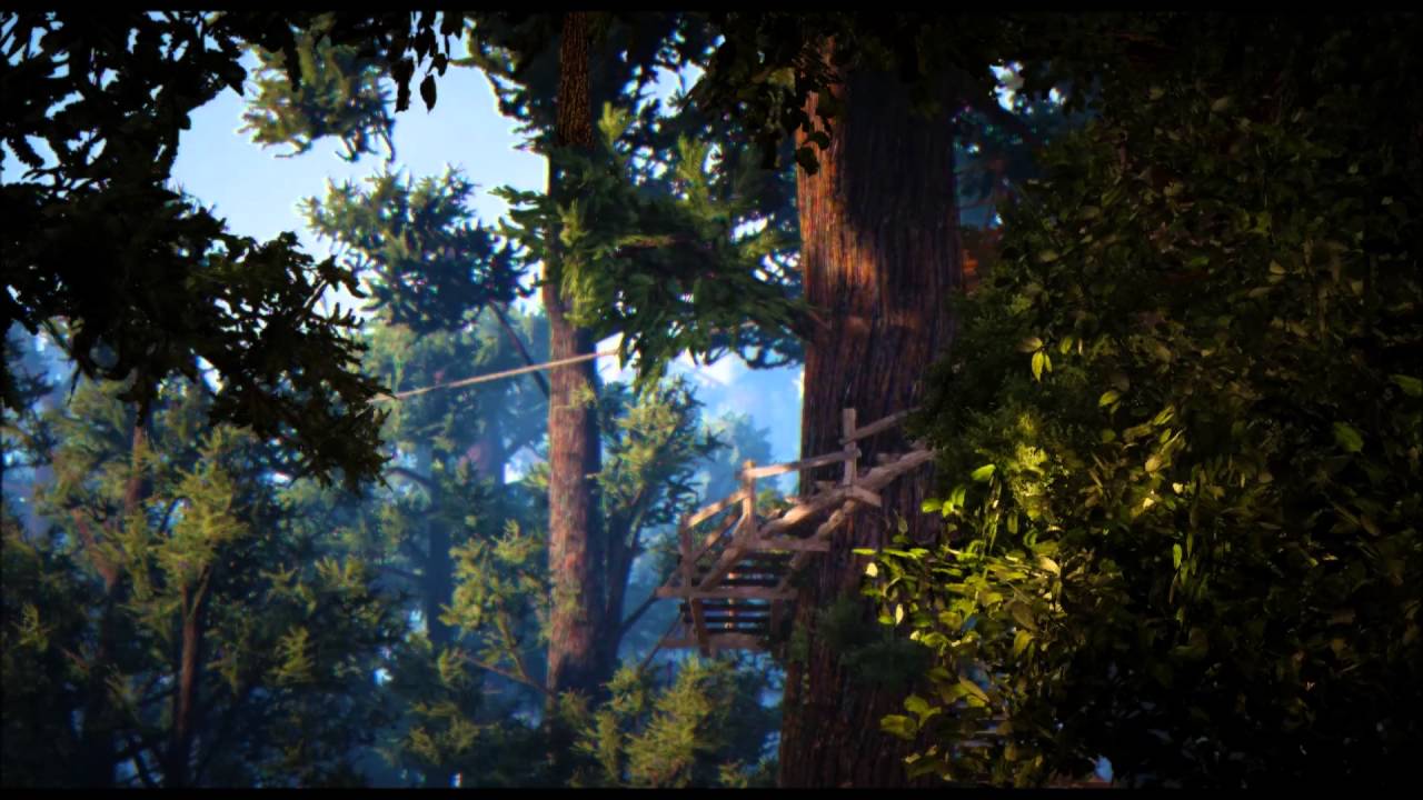 Black Desert - Longleaf Tree Forest OST - YouTube