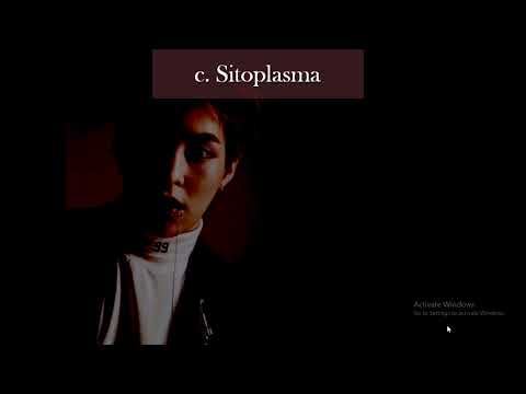 Power Point Struktur Dan Fungsi Sel Tema \