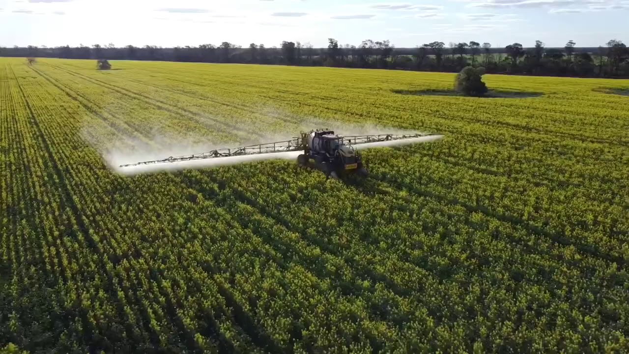 Spraying Canola with Rogator - YouTube