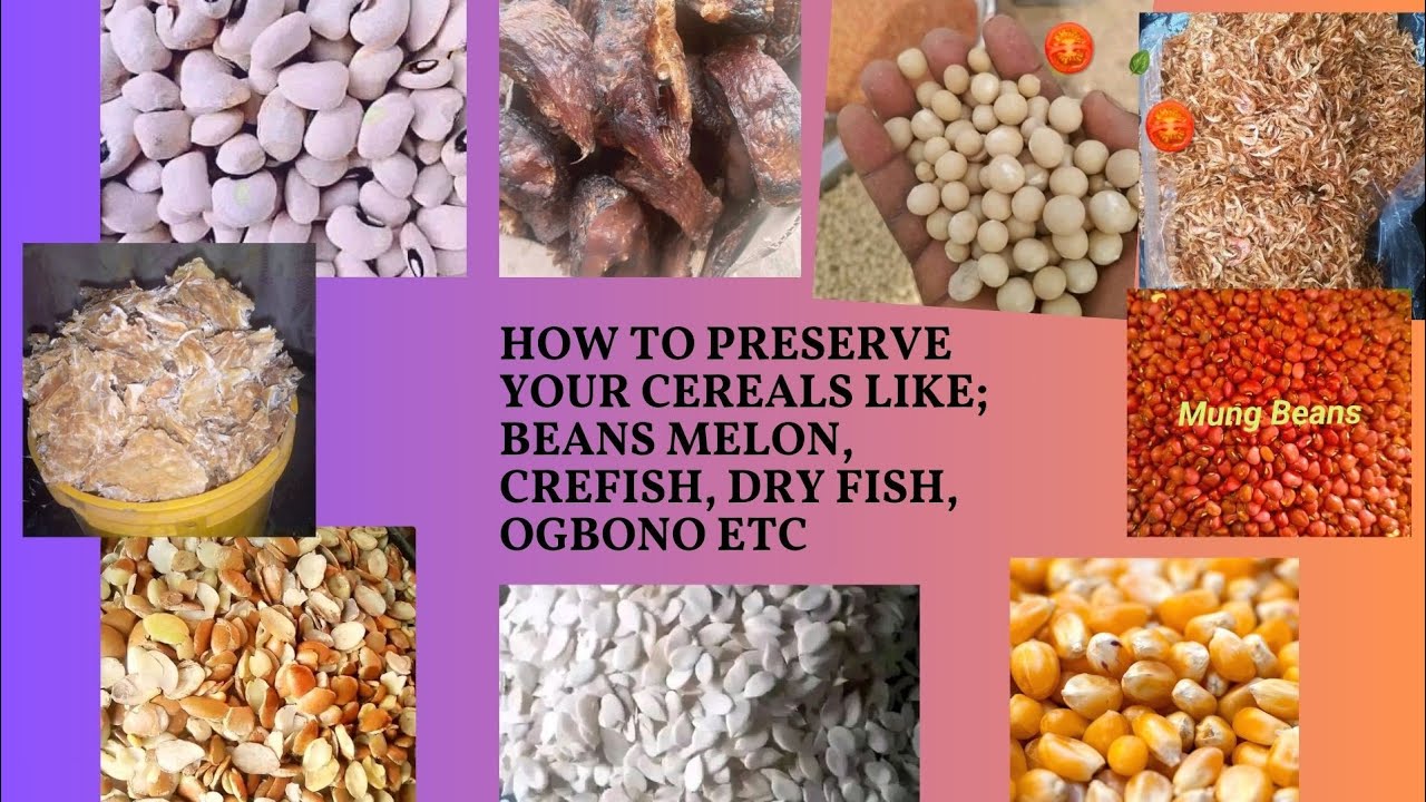 @How to Preserve your CEREALS like Melon, Maize, Crefish, Dry Fish ...