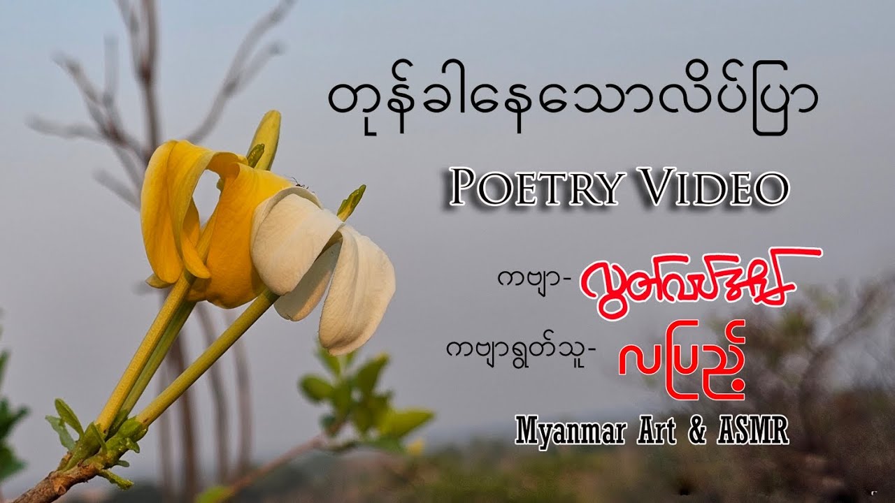 Myanmar Poetry Video PV, Lut Lat Ein တုန်ခါနေတဲ့လိပ်ပြာ၊ ကဗျာ လွတ်လပ ...