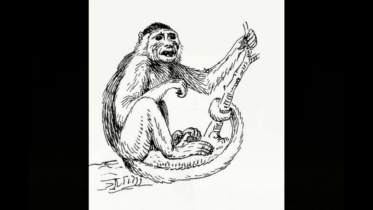 The Jade Rabbit - YouTube