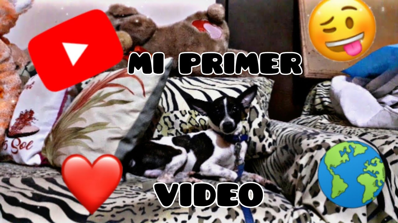 MÍ PRIMER VIDEO/ DOKI LOQUETO ( •ᴗ• ) - YouTube