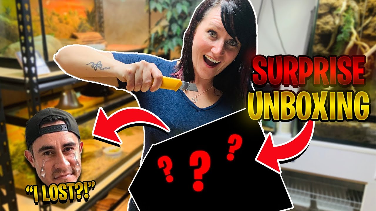INSANE SURPRISE UNBOXING FROM ALWAYS EVOLVING PYTHONS! - YouTube