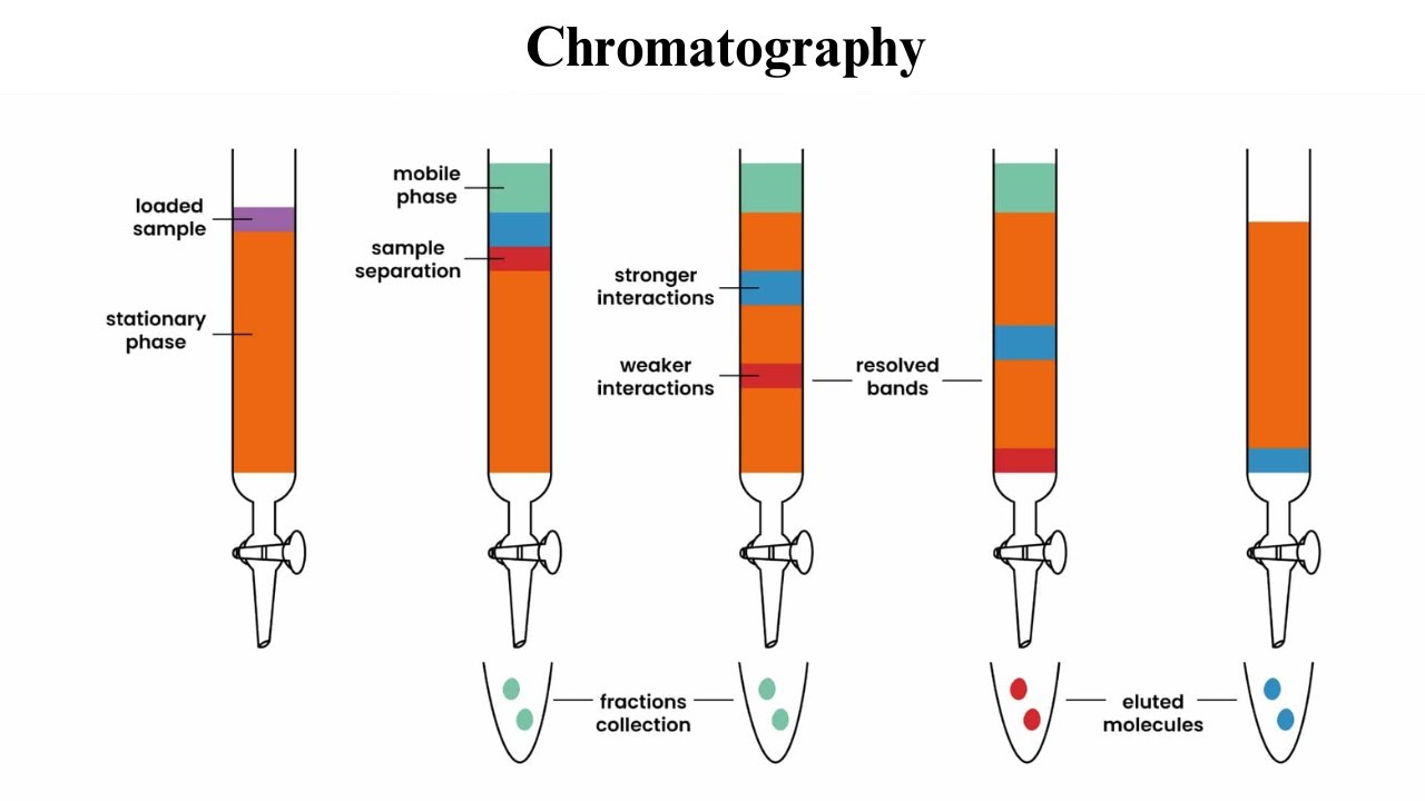 Chromatography Part -1 #10x_simple - YouTube