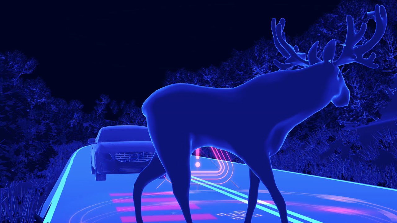 Animal Detection animation - YouTube