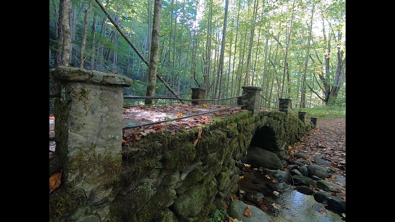 Autumn Stroll to Troll Bridge - ASMR (Gatlinburg, TN) Smoky Mountains ...