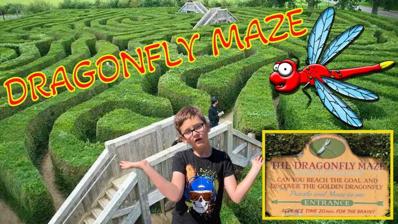 Escaping The Dragonfly Maze - YouTube