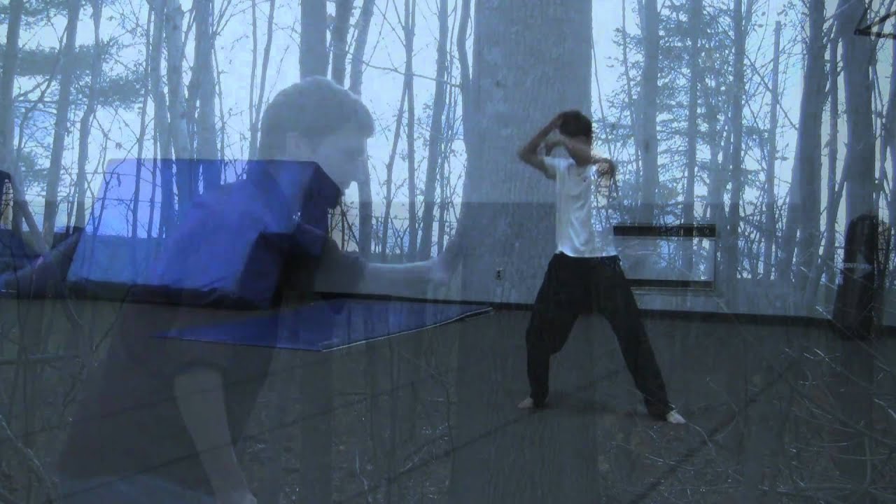 Kung Fu Commercial (Class project) - YouTube