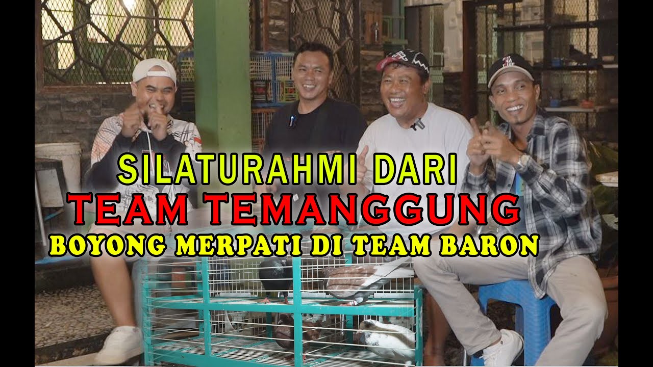 SILATURAHMI DARI TEAM TEMANGGUNG SAMBIL BOYONG MERPATI DI TEAM BARON ...