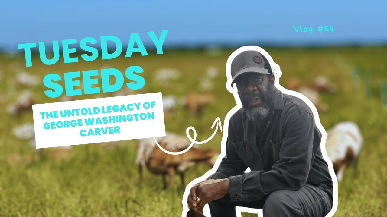 The Untold Legacy of George Washington Carver: Conservation, Crop ...