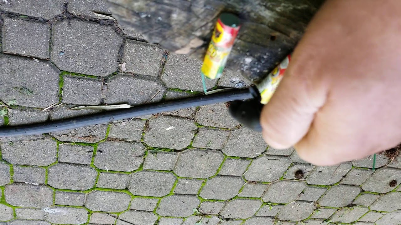 TNT VS World class ground bloom comparison - YouTube