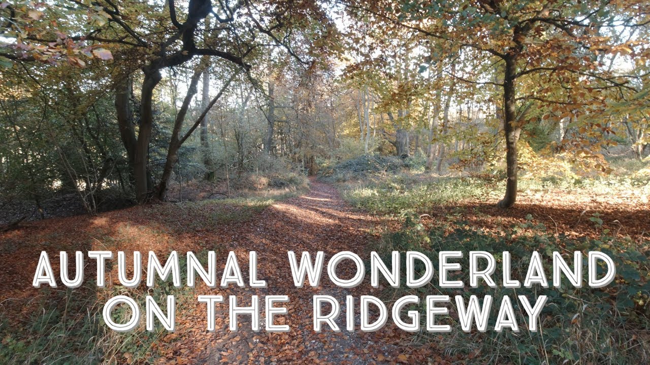 The Ridgeway | Walking Britain's Oldest Road | Part Three - YouTube