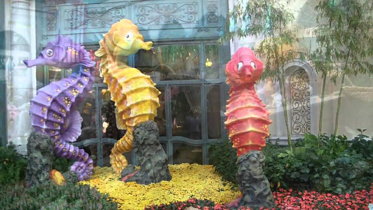 Khmer-KaAek Chorng Snaeh Hang | ក្អែកចង់ស្នេហ៍ហង្ស -Lor SaRith - YouTube