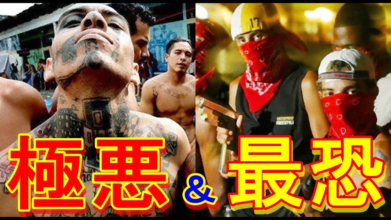 【衝撃】世界が驚愕するギャング集団10選 Youtube