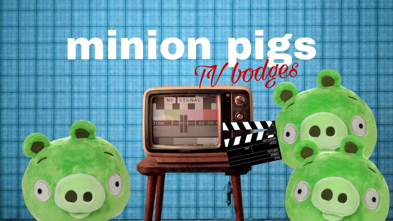 minion pig's TV bodges - episode 1 - YouTube