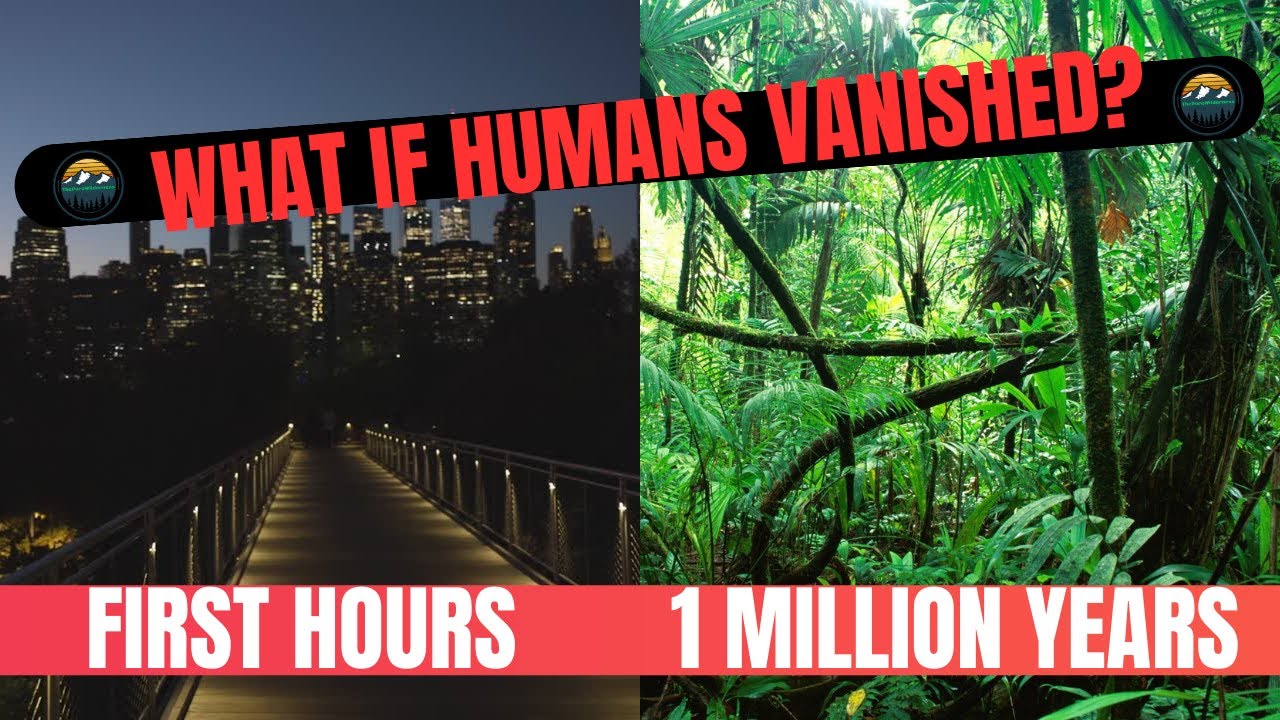 WHAT IF HUMANS VANISHED? ONE MILLION YEAR TIMELINE! - YouTube