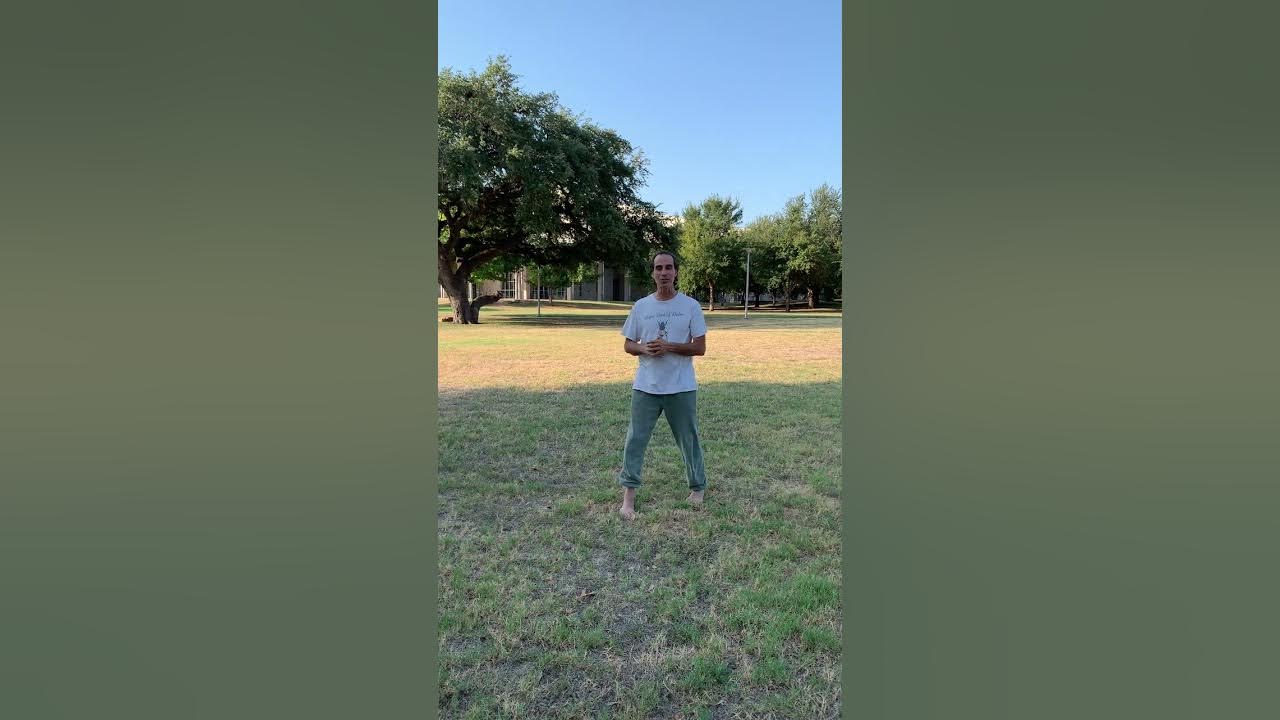 Yang 16 Tai chi, back view, second section IMG 6618 - YouTube