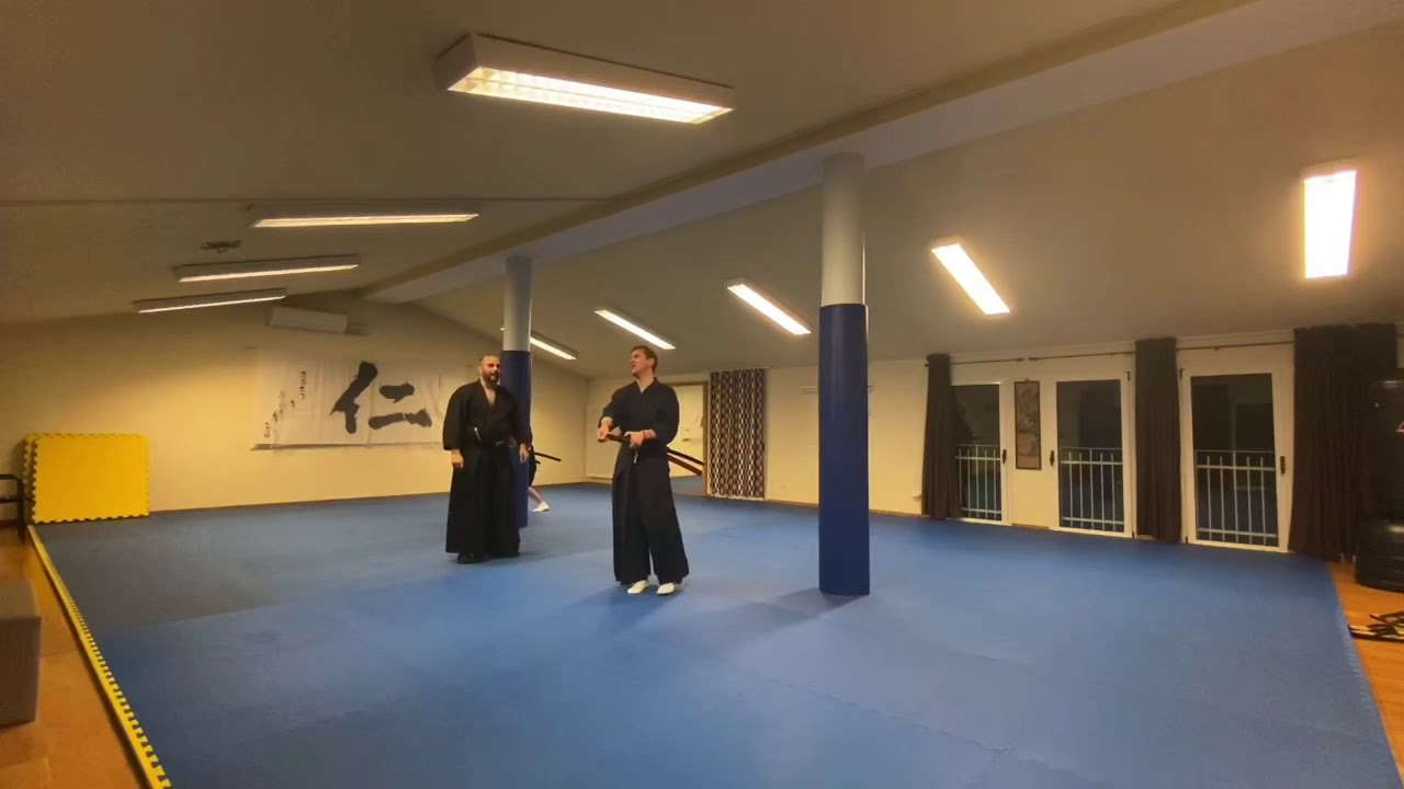 Tenshin Ryu - Practice - Ichibatsu Setta - YouTube