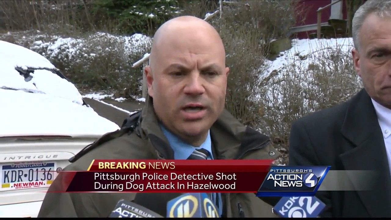 Pittsburgh police officer attacked by dog, shot in foot - YouTube