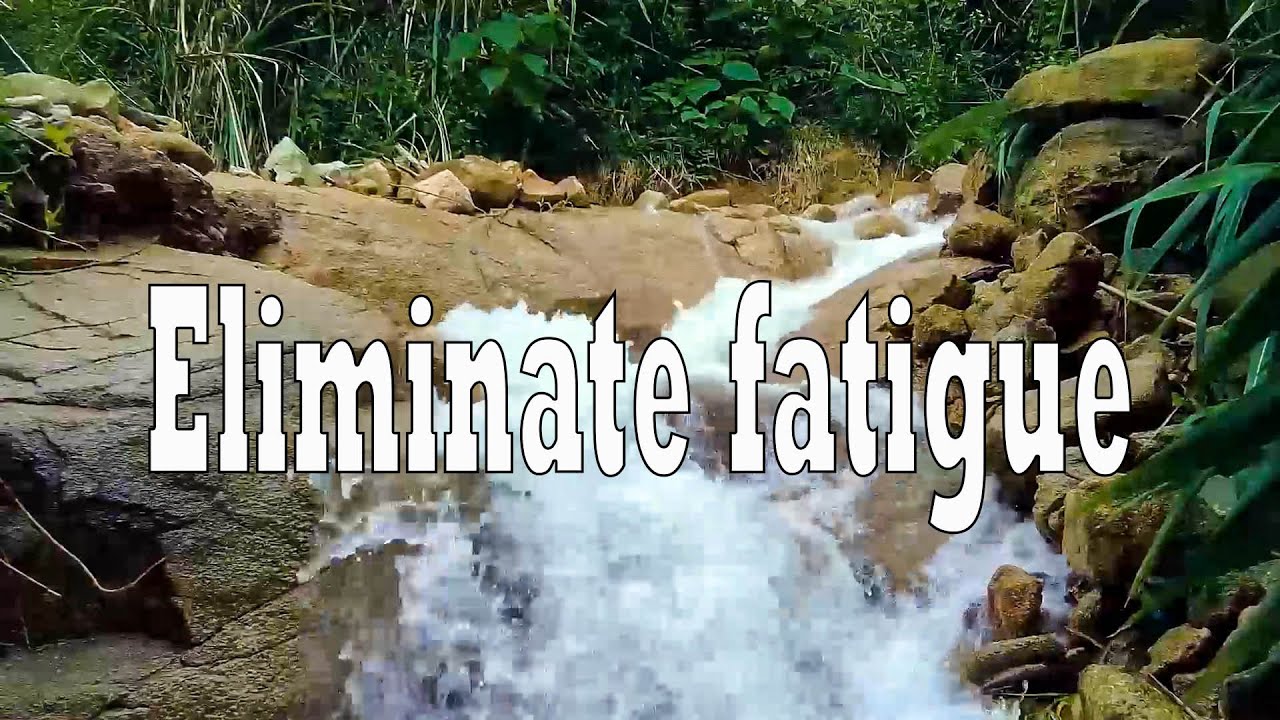 Relaxing Stream Sounds - Peaceful Forest Stream - 2 Hours Long - YouTube