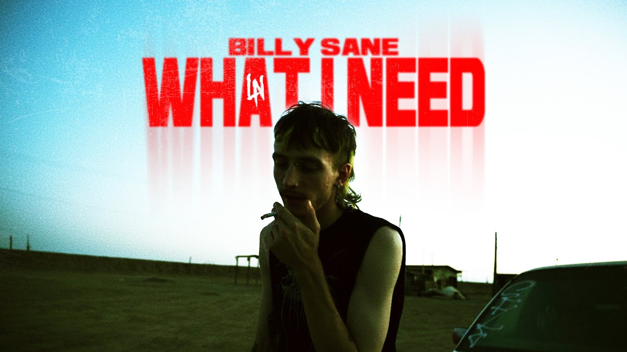 Billy Sane - What I Need (Official Music Video) - YouTube