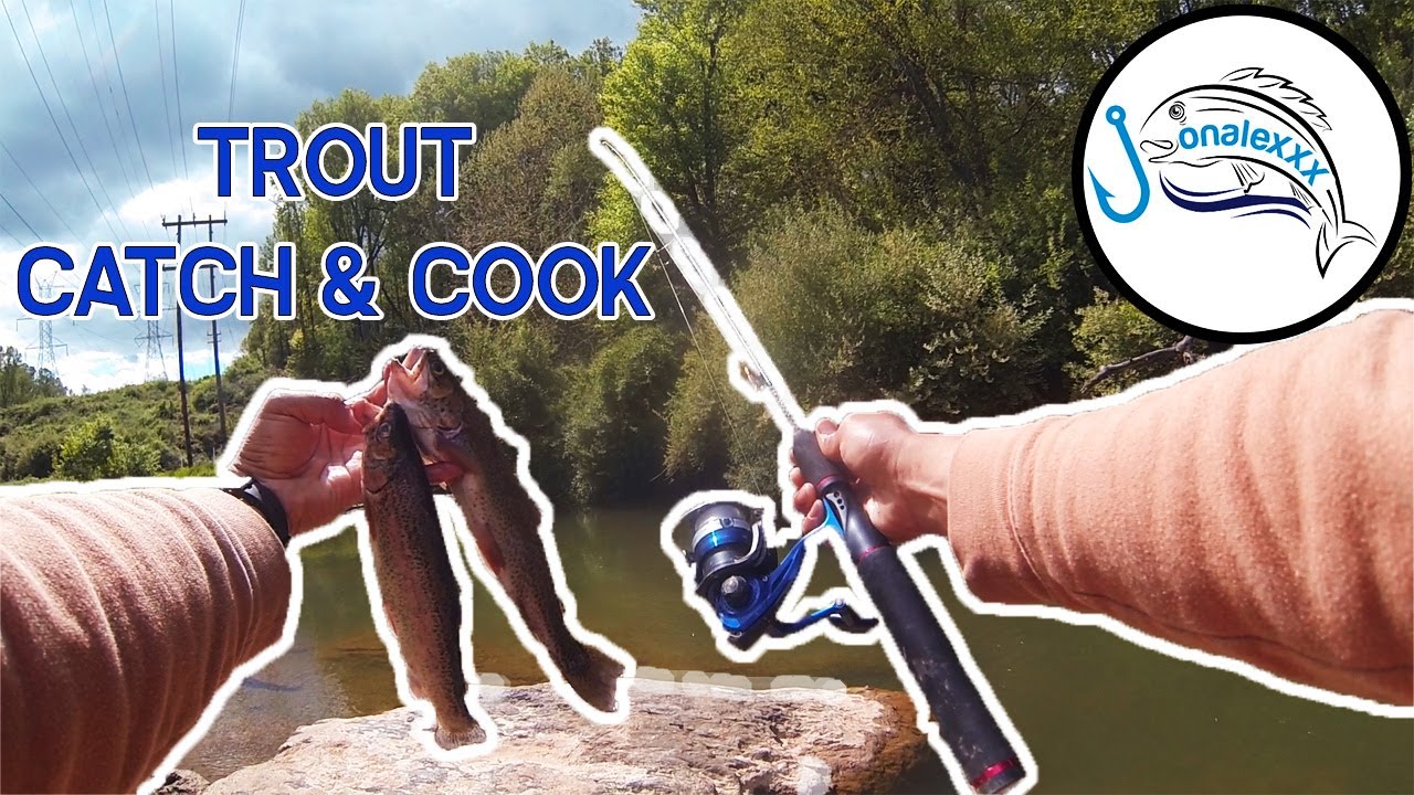 Fishing for Rainbow Trout at SENECA CREEK!!! - YouTube