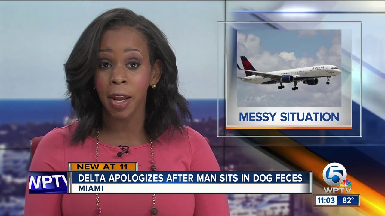 Delta apologizes for feces on customer's seat - YouTube