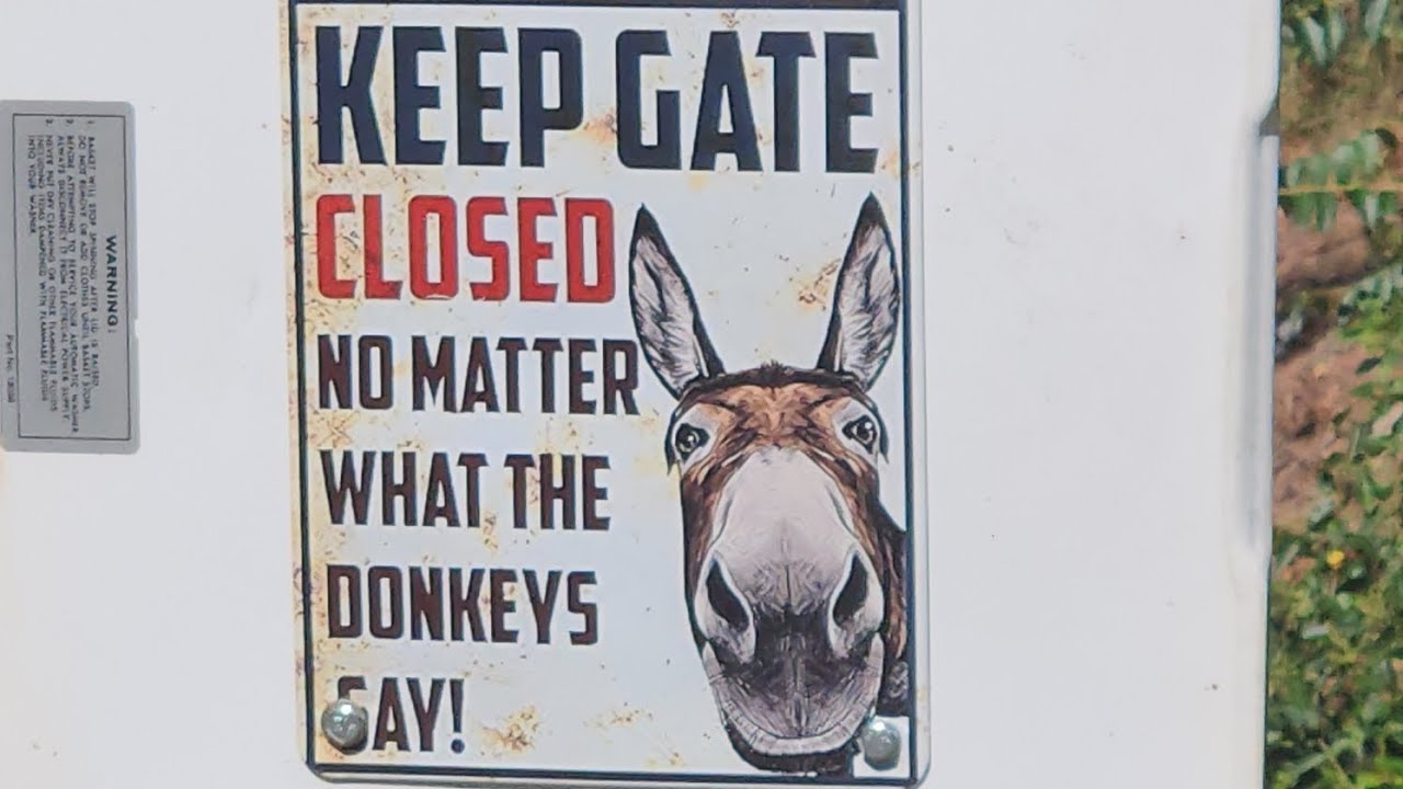 Goat the donkey man episode 1 - YouTube