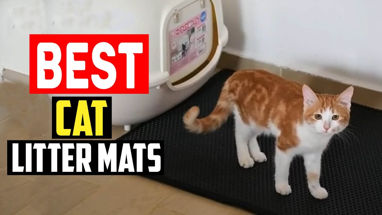 Top 5 Best Cat Litter Mats To Reduce Tracking And Protect Flooring of ...