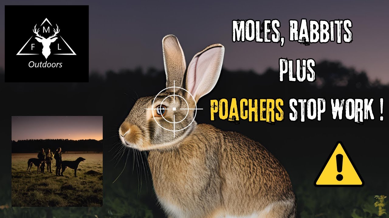 MFL Outdoors - Moles, Rabbit Shooting and Poachers || Hikmicro Alpex 4K ...