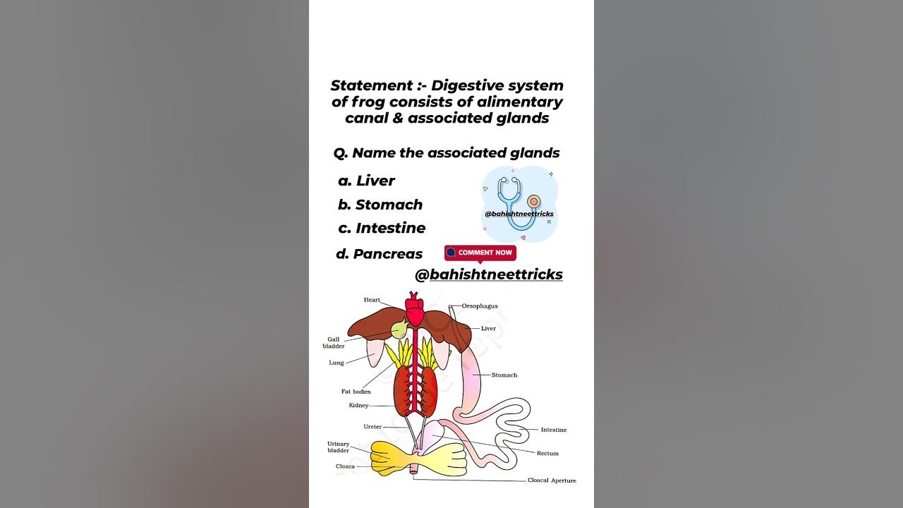 Neet biology ncert diagram based questions🩺#neet#ncert #biology #frog # ...