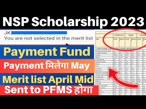NSP Payment 2023 Fund & Merit list | NSP Scholarship payment kab aayega 2023 | NSP Payment ...