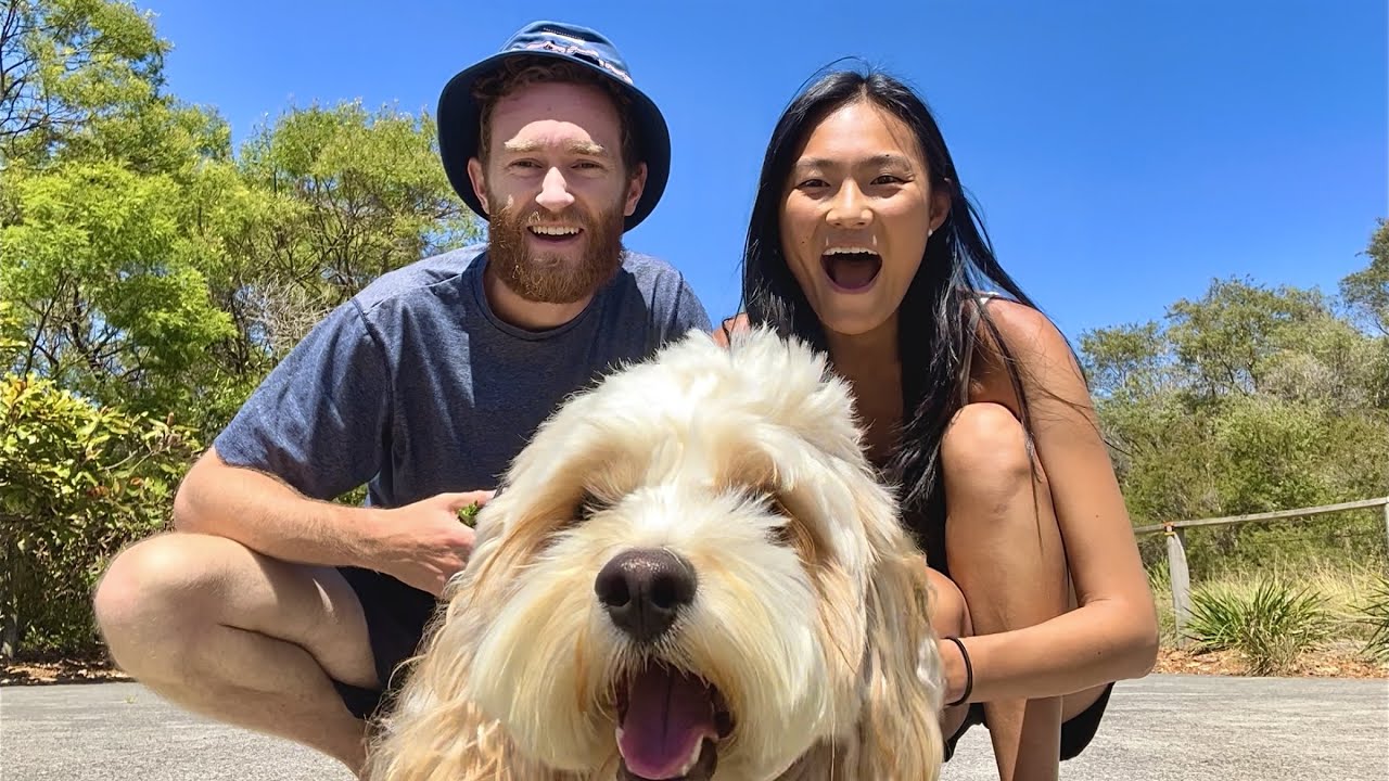 A Day In The Life Pet Sitting In Australia YouTube A Day In The Life Pet Sitting In Australia YouTube
