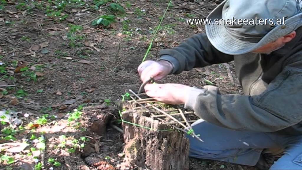 Stump Trap - YouTube