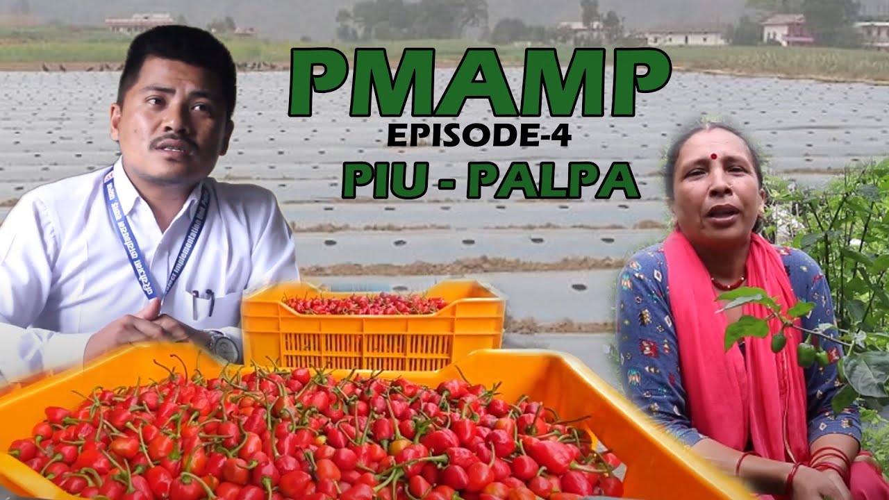 PMAMP Episode 4 Palpa - YouTube