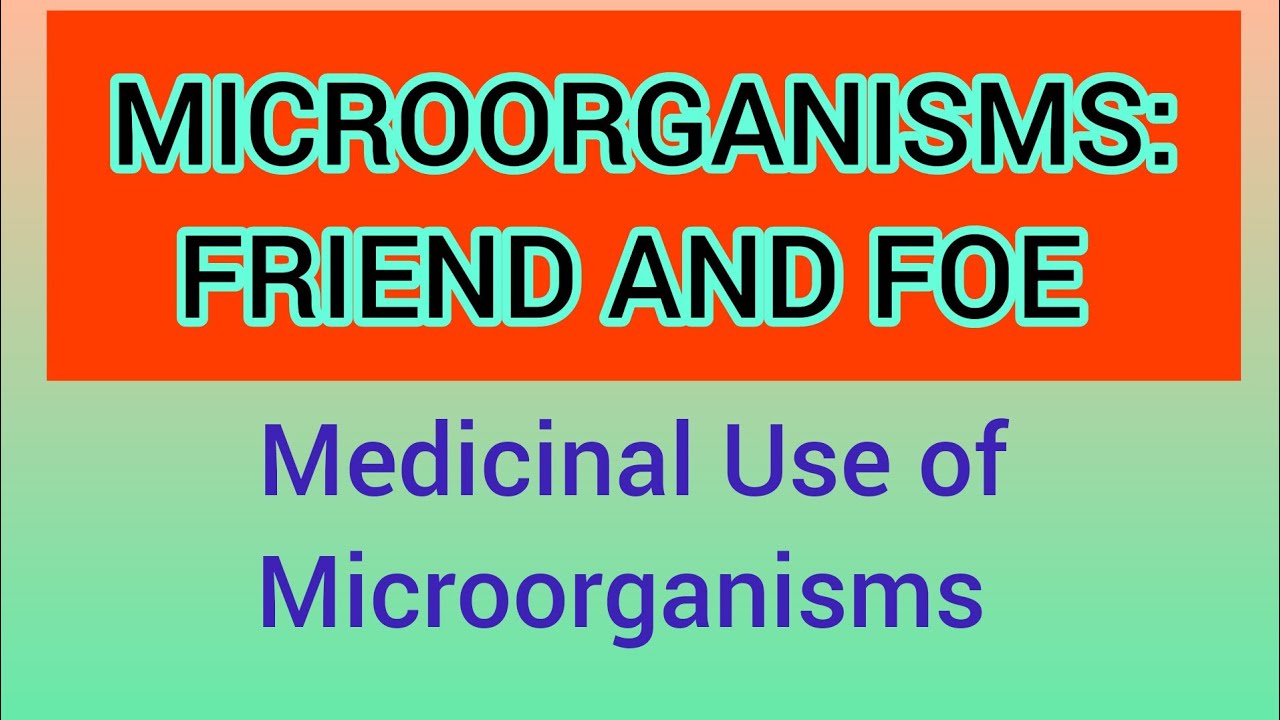 Medicinal Use of Microorganisms/ Microorganisms:Friend and Foe/ Class-8 ...