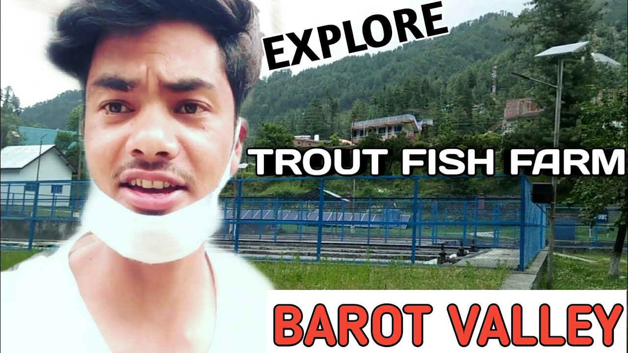 |EXPLORE| ||TROUT FISH FARM BAROT VALLEY WITH FRIEND|| - YouTube
