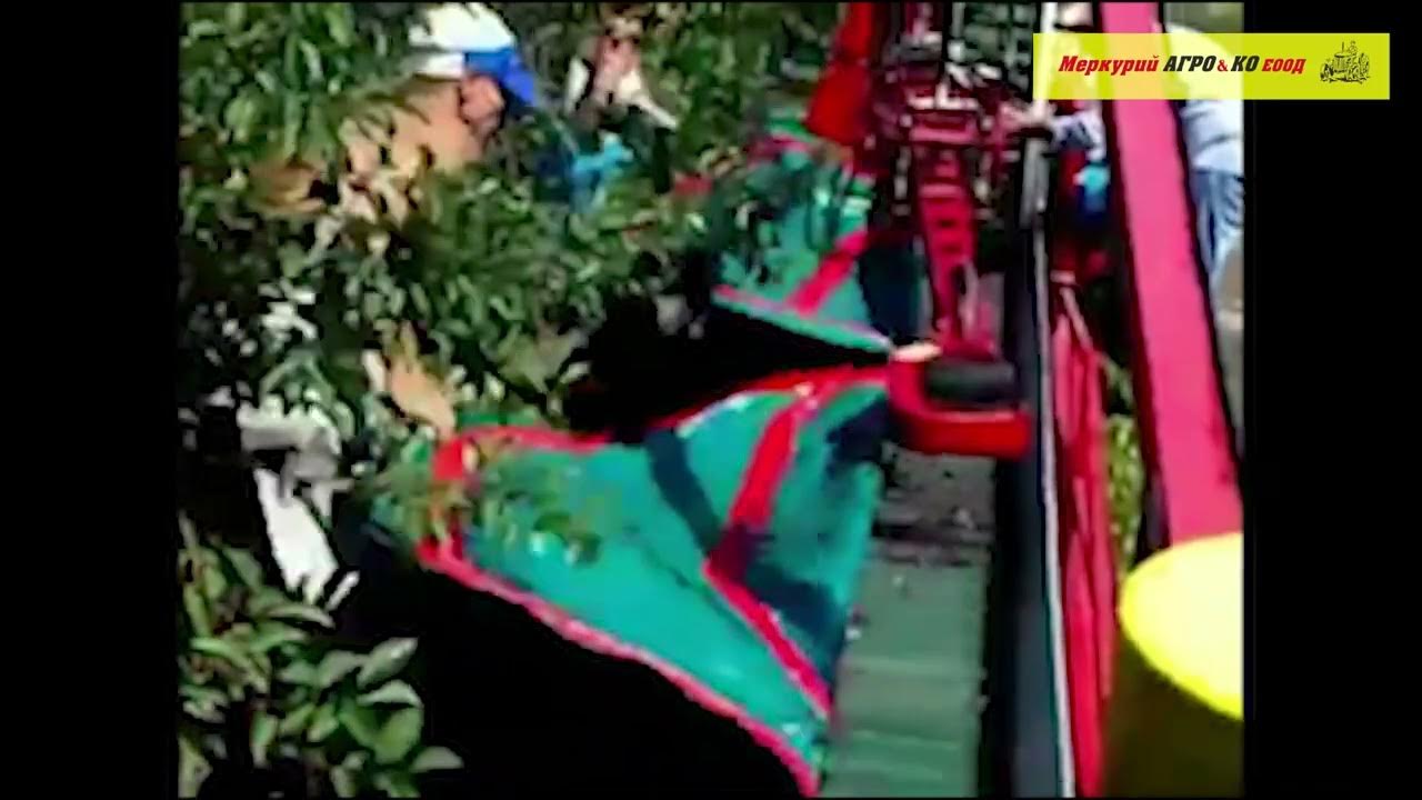 Машина за бране на плодове - череши, сливи и други, представeна от ...