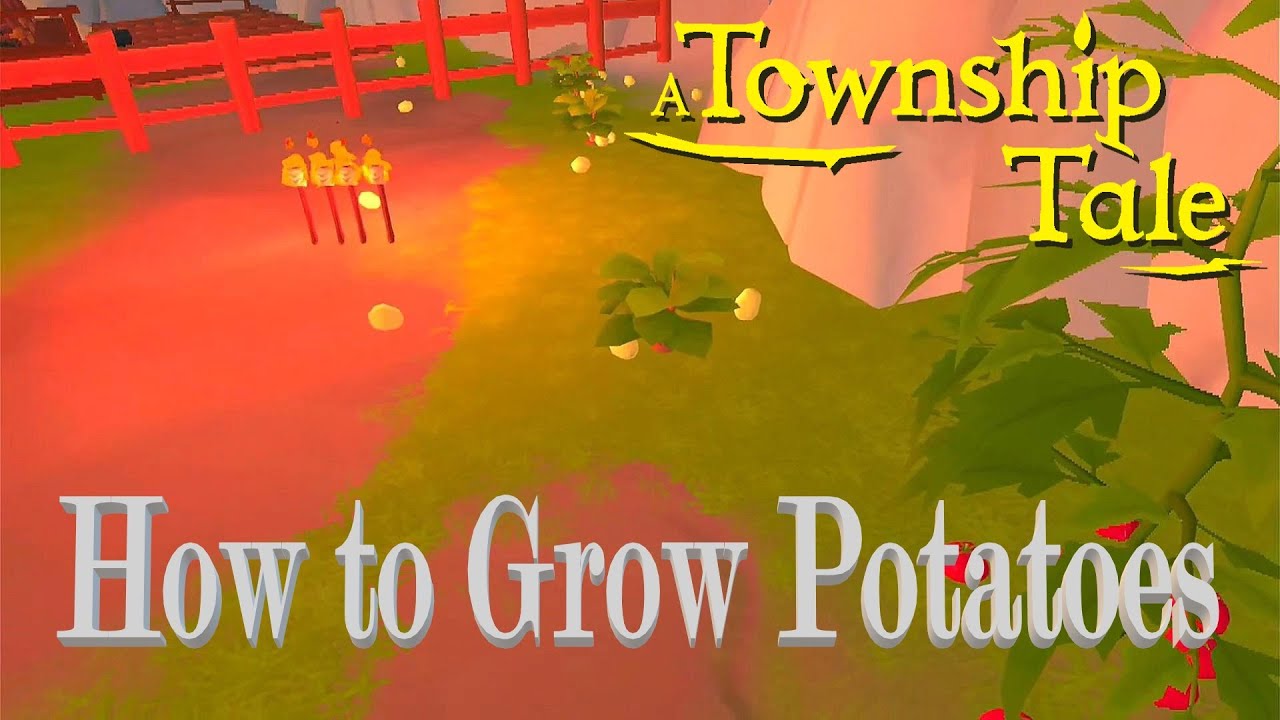 How to Grow Potatoes (A Township Tale Tips on Oculus) - YouTube