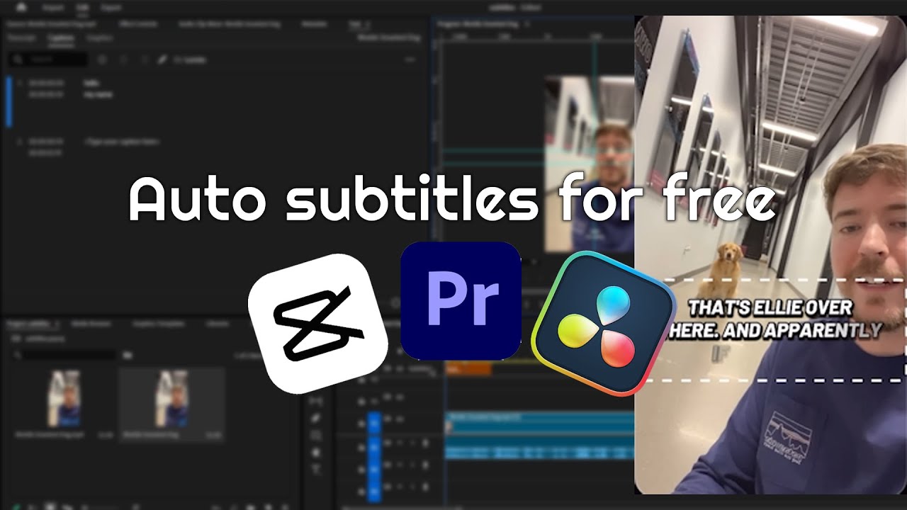 I found the best ways to add auto subtitles to your shorts in 2025 ...