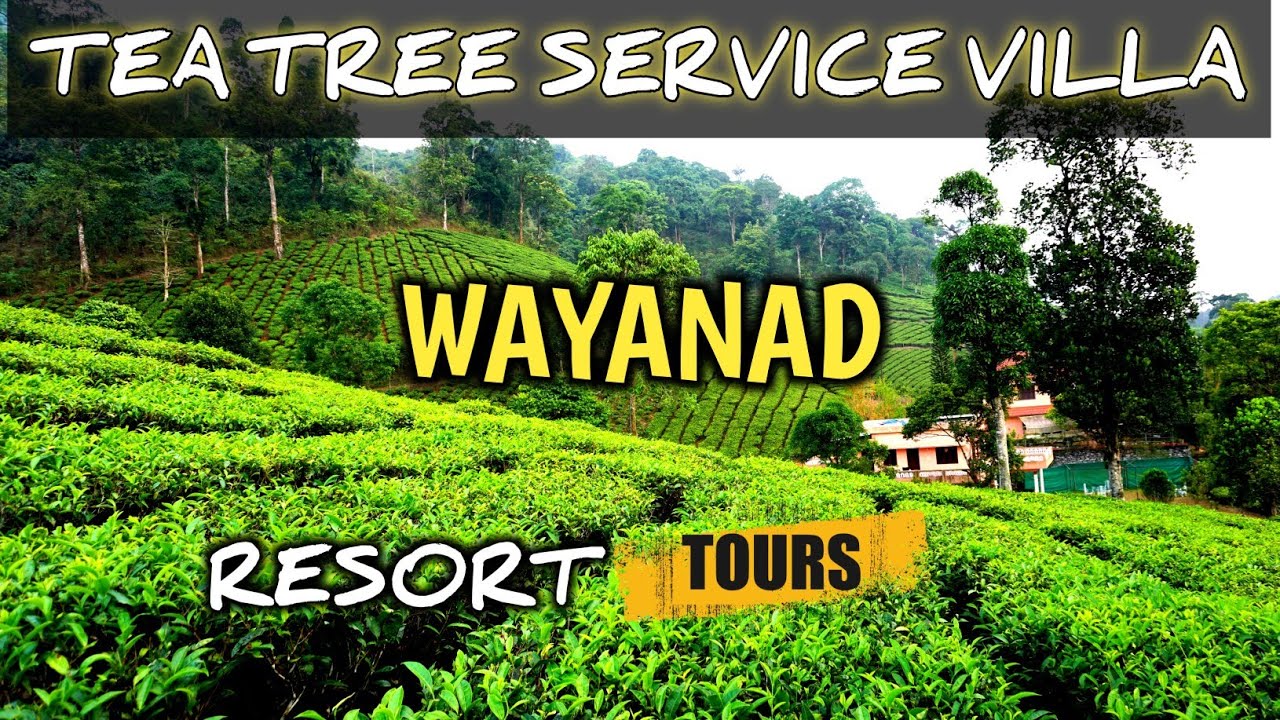 Tea Trees Service Villas | Wayanad Resort Tour Ep 1 | Kerala Trip 2023 ...