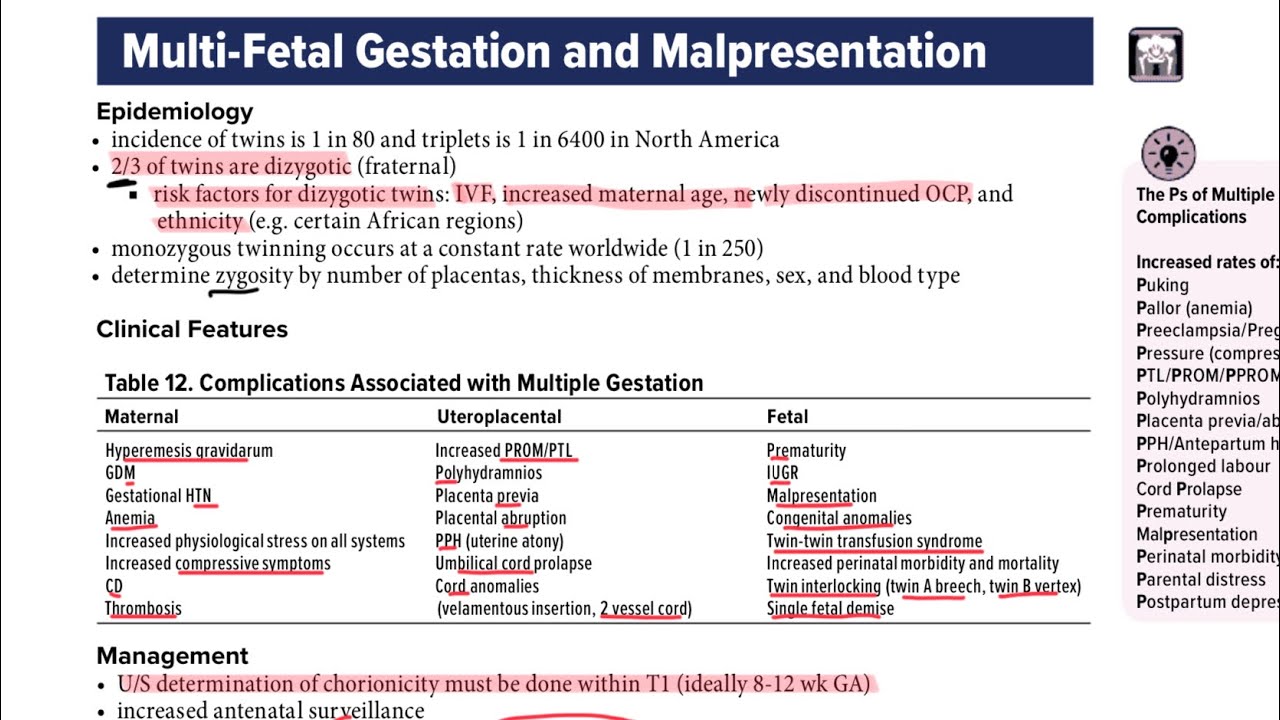 Multi-fetal gestation and malpresentation, OB23-OB25. - YouTube