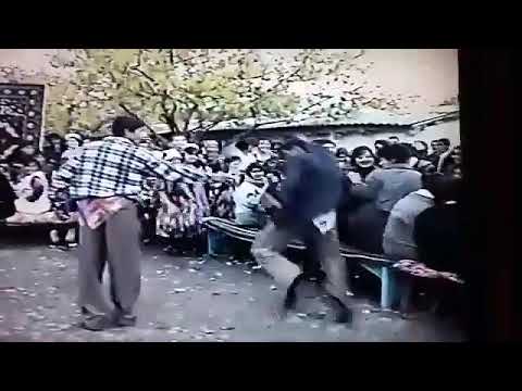 Prikol videolar
