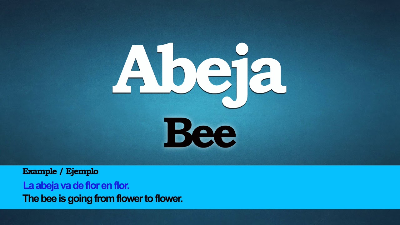 How to pronounce Bee in Spanish. Cómo pronunciar Abeja. - YouTube