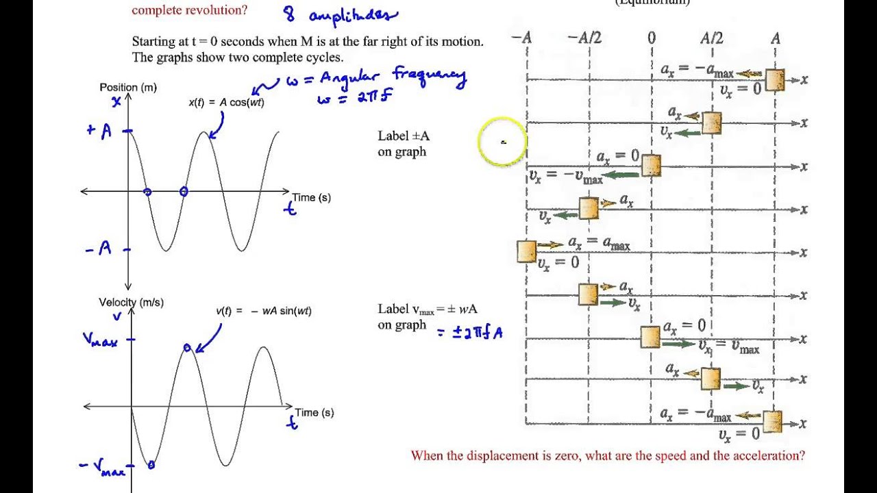 Chapter 10, Kinematics of SHM (Graphing a mass attached to spring ...